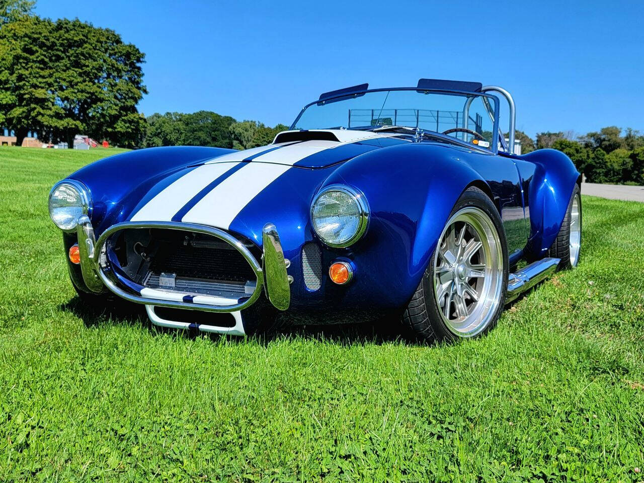 Cobra Car