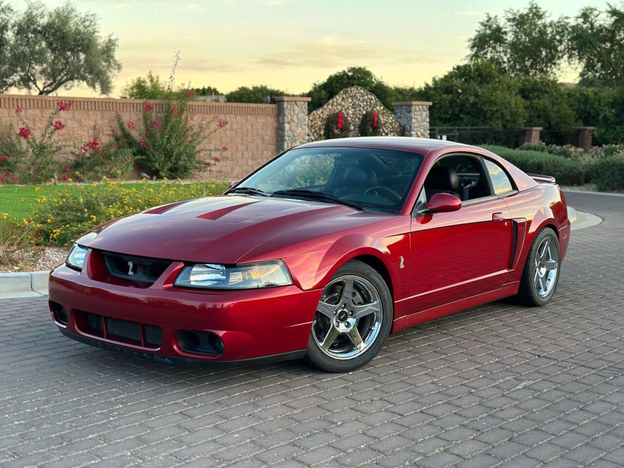 2004 Ford Mustang SVT Cobra For Sale - Carsforsale.com®