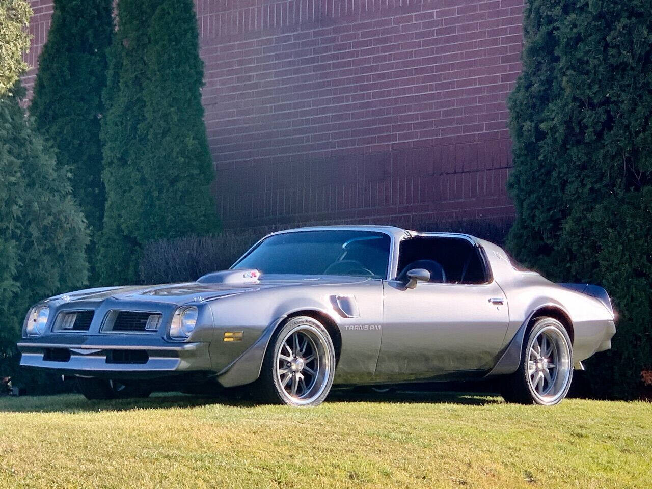 Used 1975 Pontiac Trans Am For Sale - Carsforsale.com®