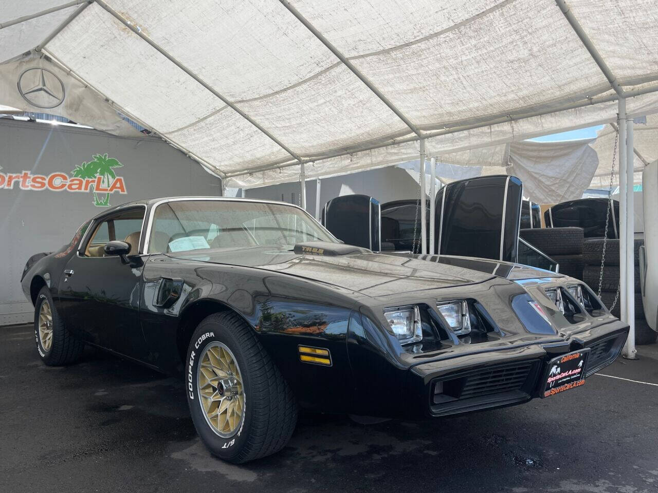 Pontiac Firebird 1981