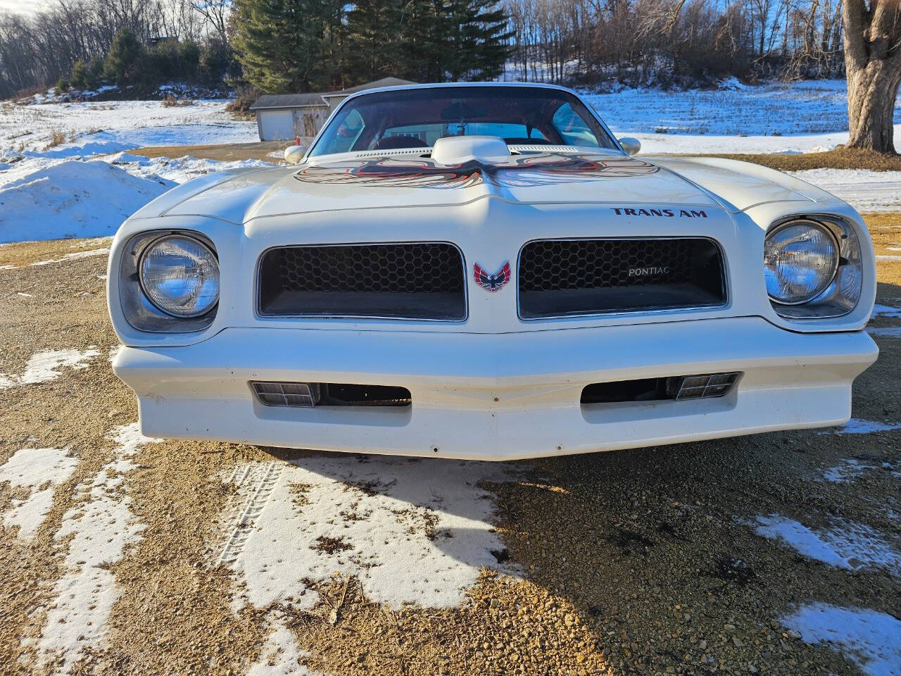 1976 Pontiac Trans Am For Sale | AllCollectorCars.com
