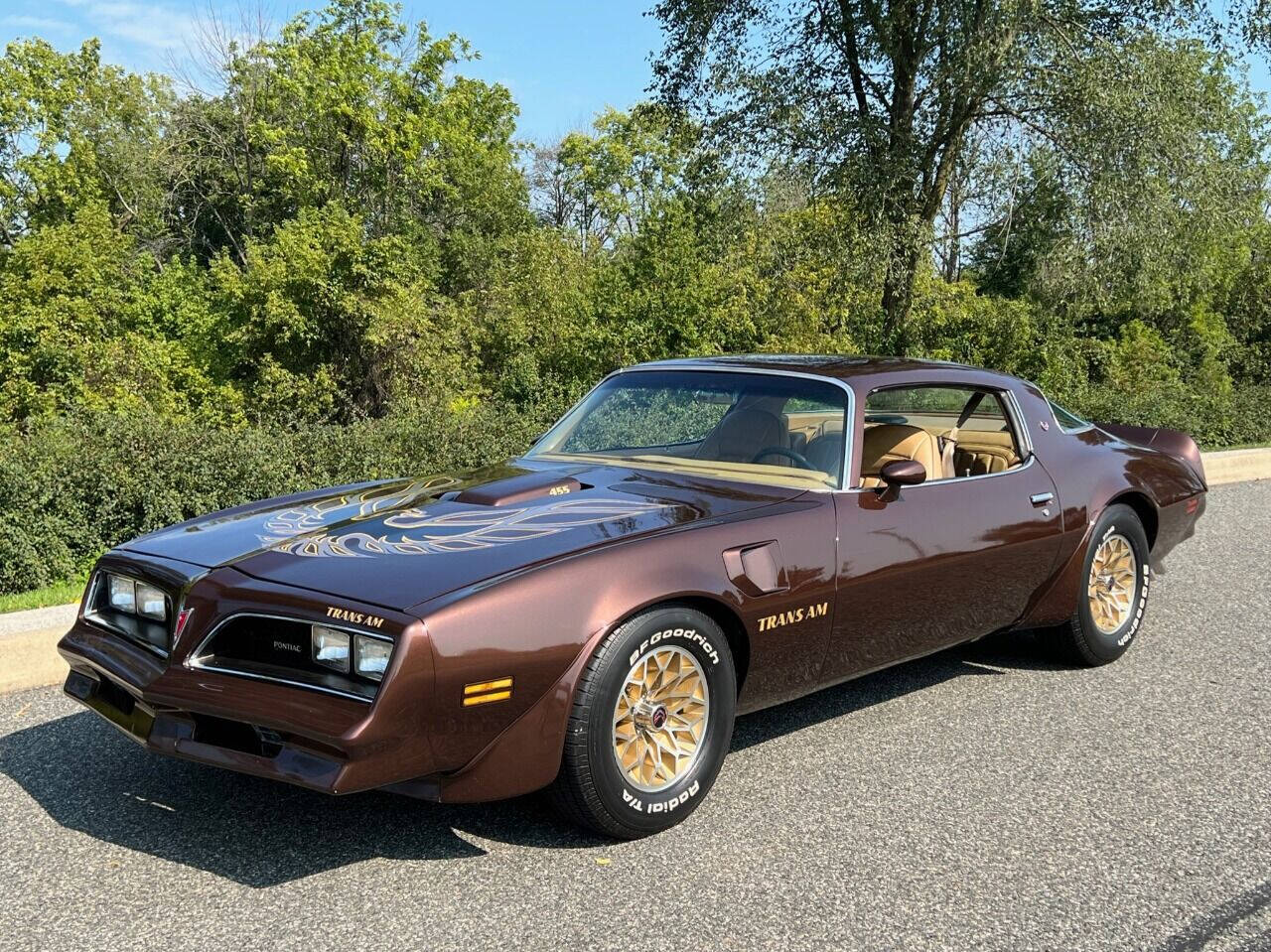 1977 Pontiac Firebird For Sale - Carsforsale.com®