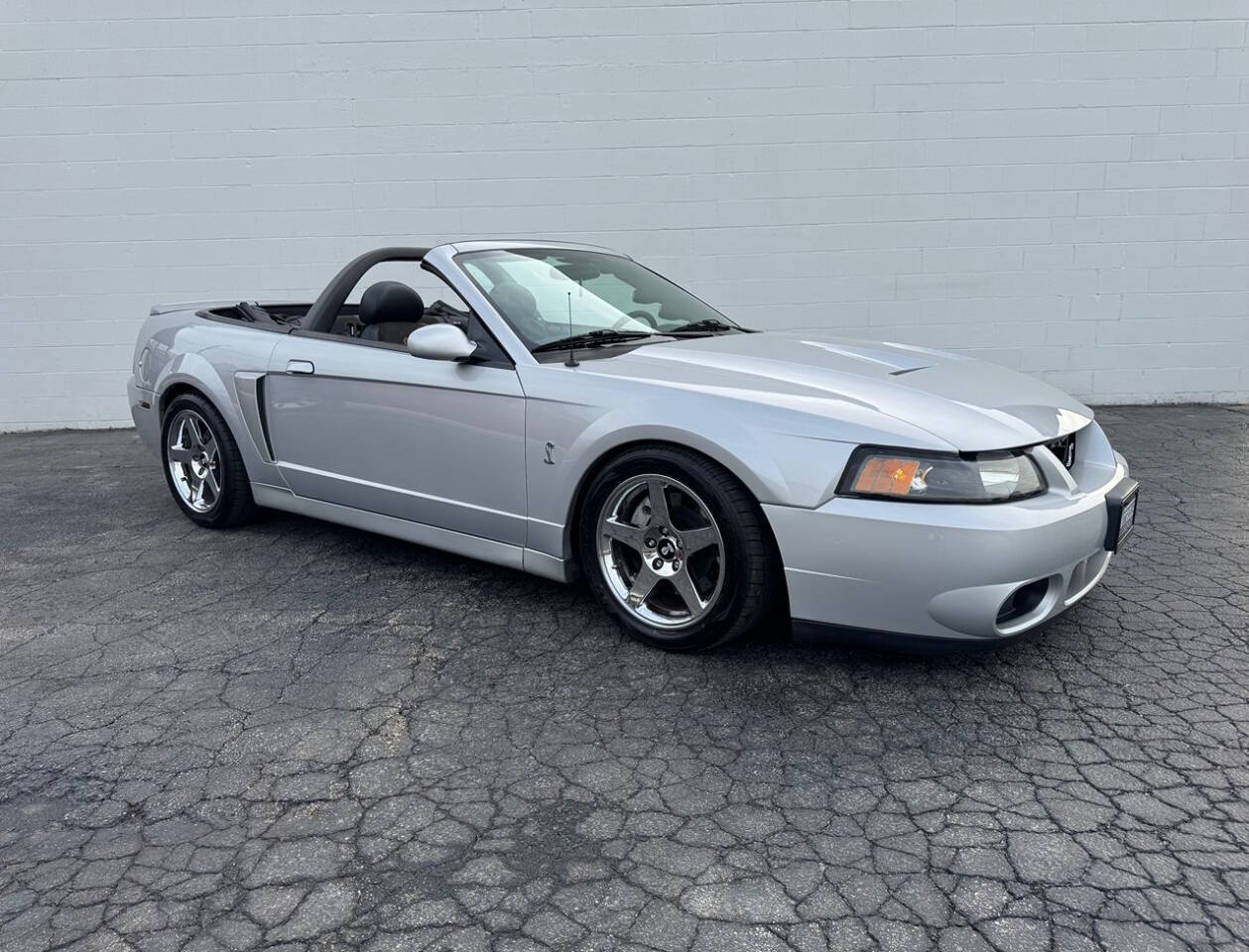 2004 Ford Mustang SVT Cobra For Sale - Carsforsale.com®