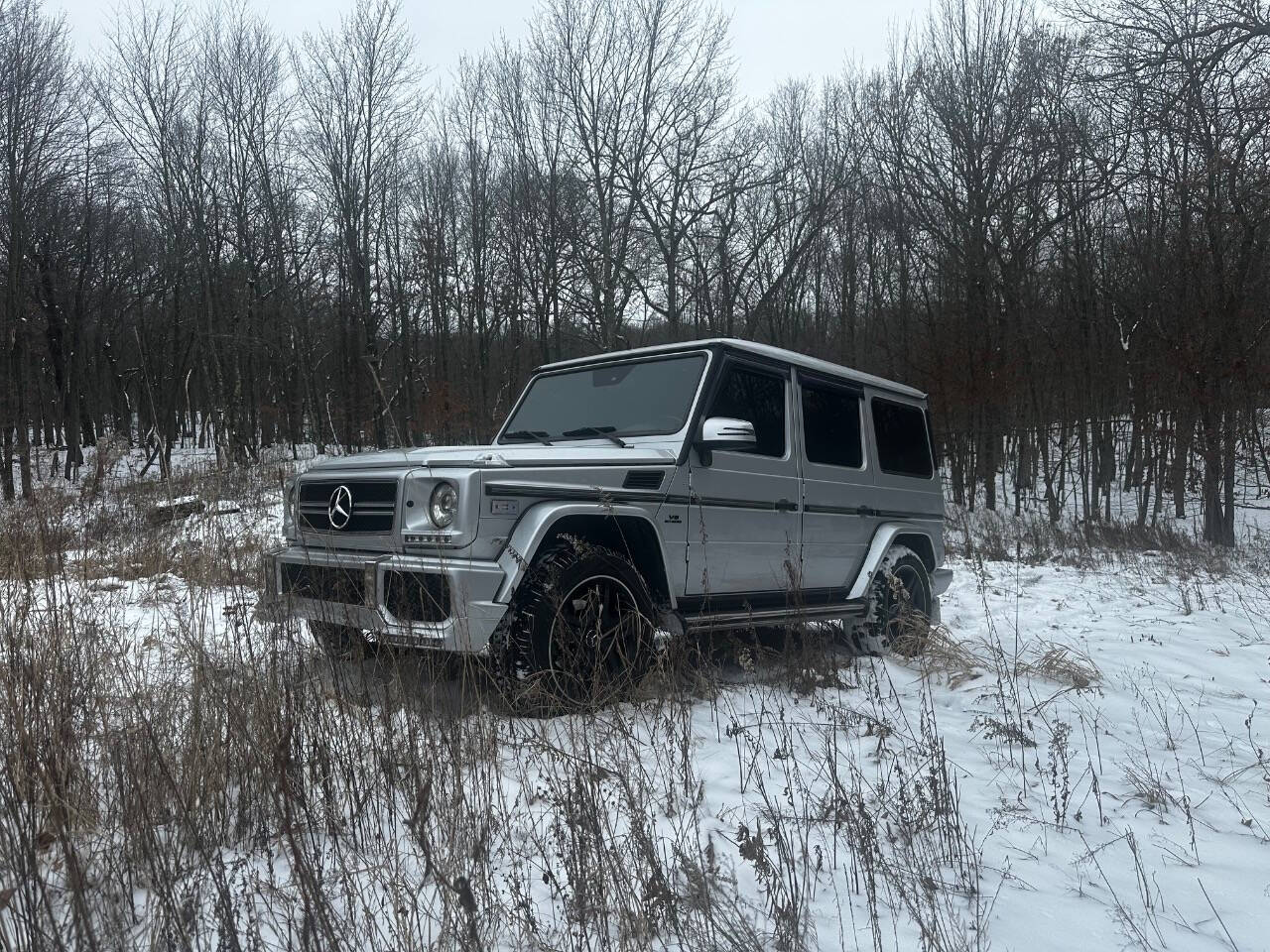 2005 Mercedes-Benz G-Class For Sale - Carsforsale.com®