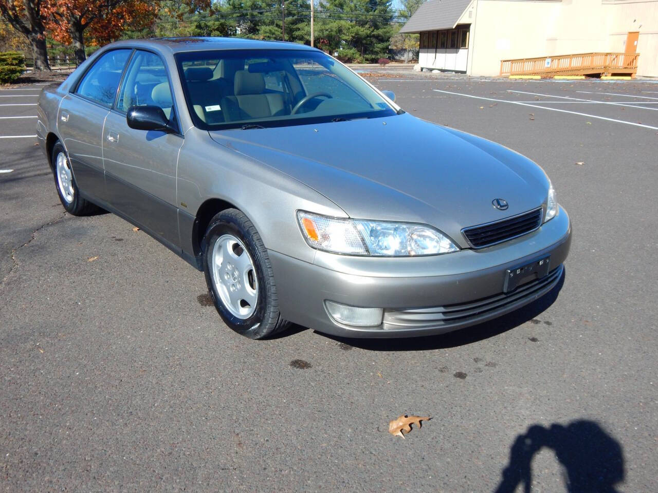 1999 Lexus ES 300 For Sale - Carsforsale.com®