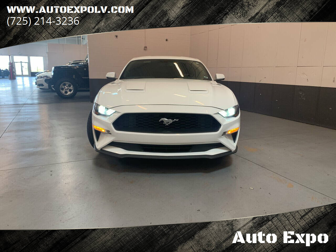 Used Ford Mustang EcoBoost Premium Coupe RWD for Sale (with Photos ...