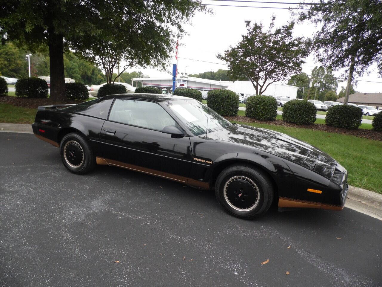 1983 Pontiac Trans Am For Sale - Carsforsale.com®