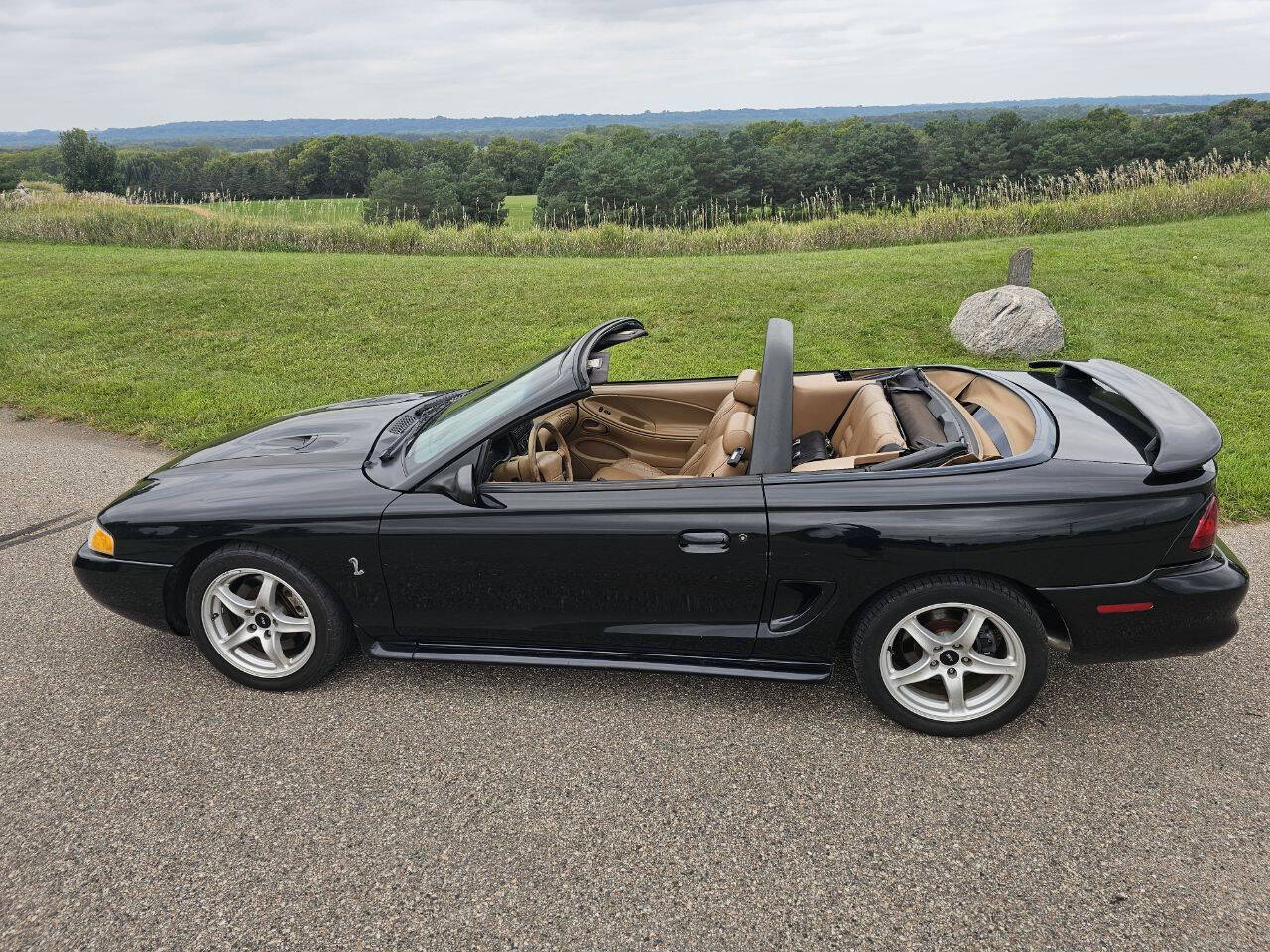1998 Ford Mustang SVT Cobra For Sale - Carsforsale.com®