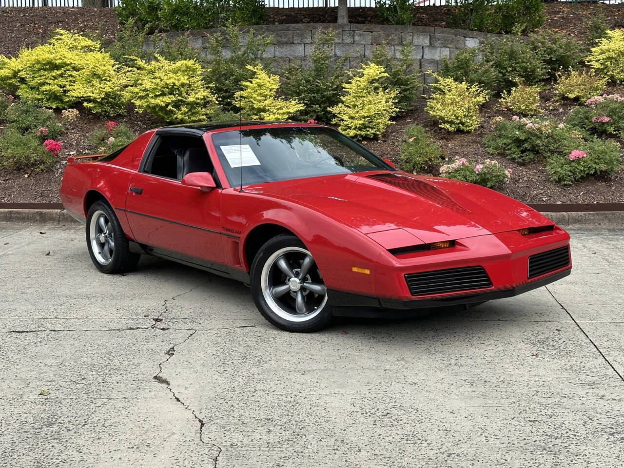 1984 Pontiac Firebird For Sale - Carsforsale.com®